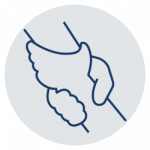 About Us | CCD Couriers